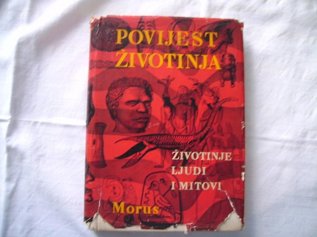 `Povijest životinja` Morus (Dr. Richard Lewinsohn)