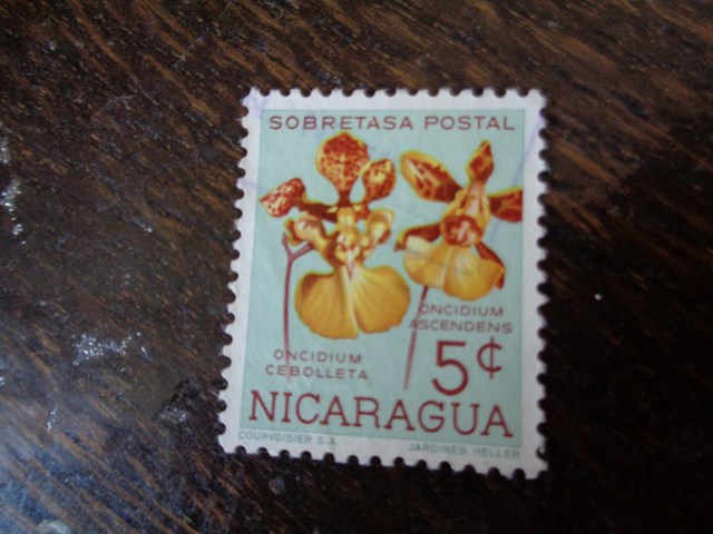 nikaragva 102