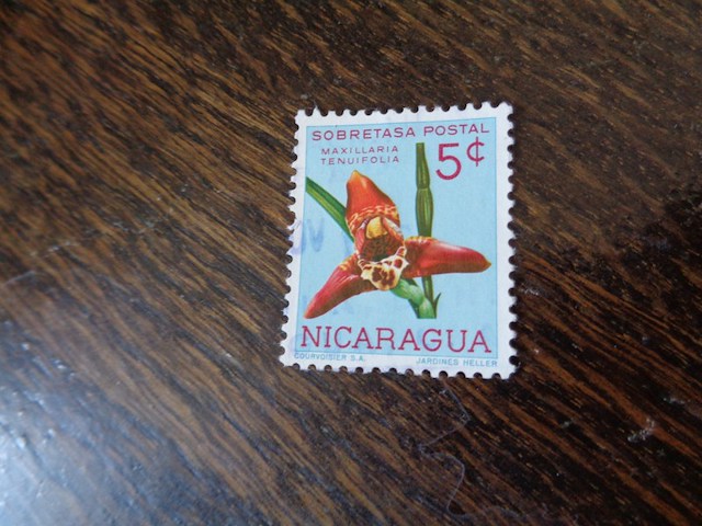 nikaragva 101