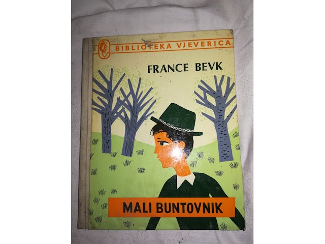 MALI BUNTOVNIK-France Bevk