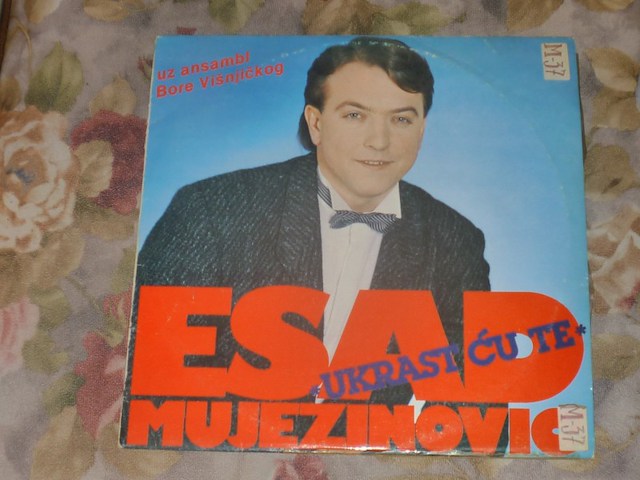 Esad Mujezinovic - Ukrast cu te