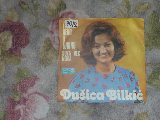 Dusica Bilkic - Teci reko u tudjinu