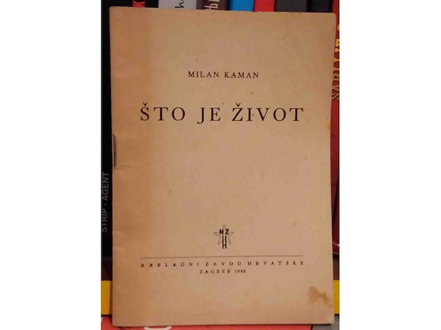 Milan Kaman - Što je život