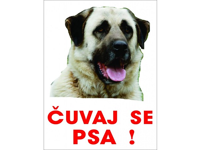 TURSKI KANGAL - Čuvaj se psa , nalepnice i table