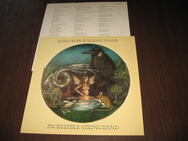 incredible string band
