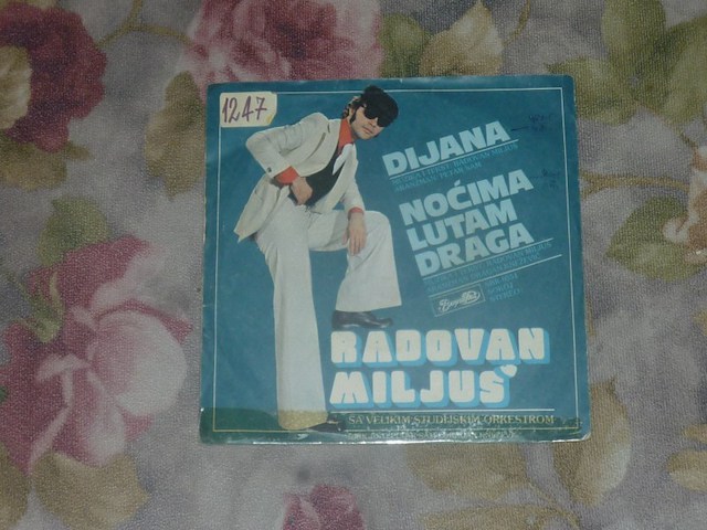 Radovan Miljus - Dijana