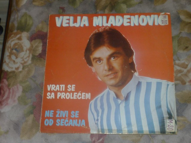 Velja Mladenovic - Vrati se sa prolecem