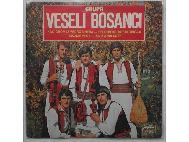 Grupa VESELI BOSANCI - Kao grom iz vedrog neba