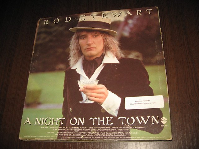 rod stewart