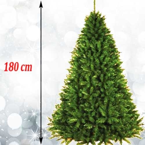 Novogodišnja jelka ekstra gusta Alpine Spruce 180 cm