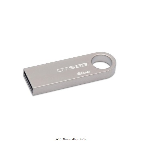 USB flash disk Kingston 8Gb USBF-8GB/DT-SE9