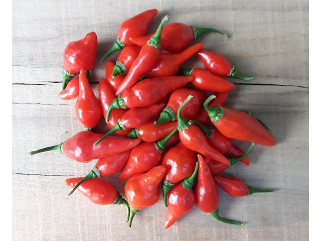 Pimenta Diomar - Chili pepper 20 semenki