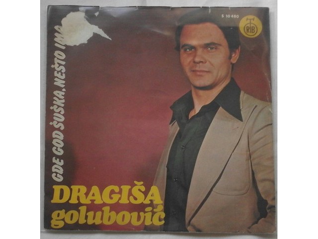 DRAGISA GOLUBOVIC - Gde god suska nesto ima