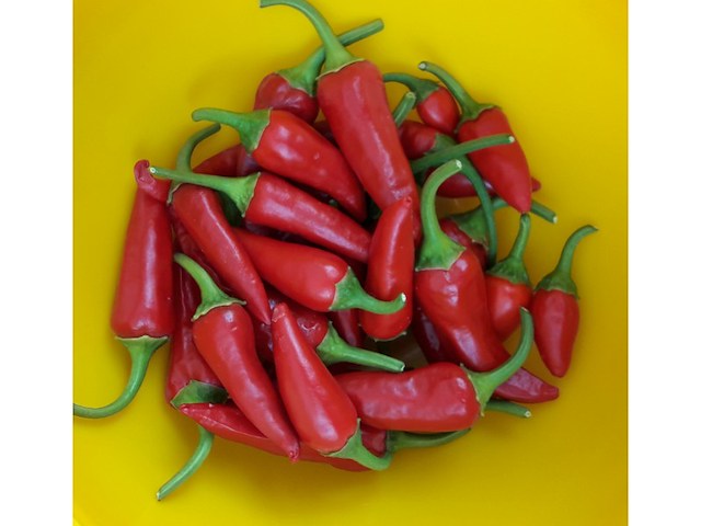Serrano - Chili pepper 20 semenki