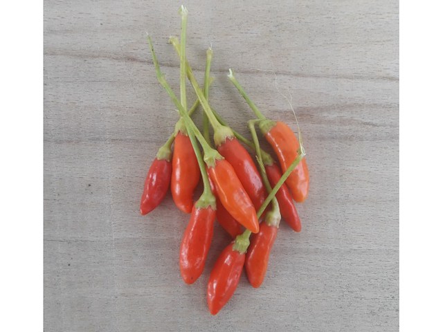 Tabasco - Chili pepper 20 semenki