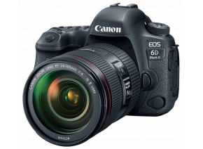 Canon EOS 6D Mark II 24-105 L4 IS II