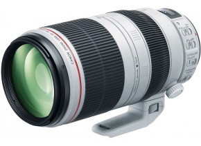 Canon EF 100-400mm f/4.5-5.6L IS II USM