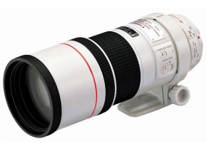 Canon EF 300mm f/4L IS USM
