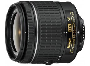 Nikon AF-P DX NIKKOR 18-55mm f/3.5-5.6G VR