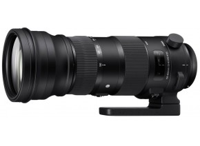 Sigma 150-600mm f/5-6.3 DG OS HSM Sports