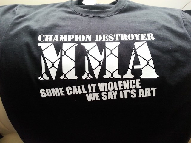 MMA Champion Destroyer