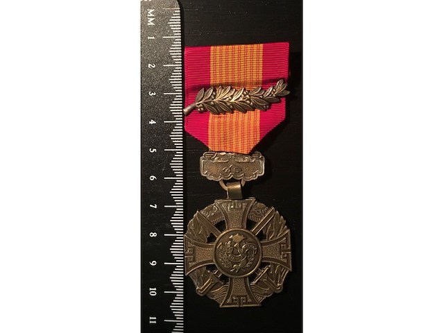 americka medalja povodom rata u Vijetnamu Amerika
