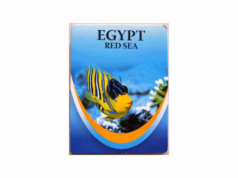 EGYPT - Red Sea