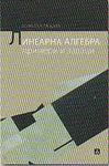 Linearna algebra - primeri i zadaci