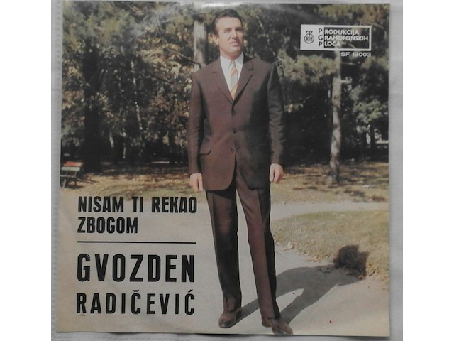 Gvozden Radicevic / Vasilija Radojcic - Nisam ti rekao