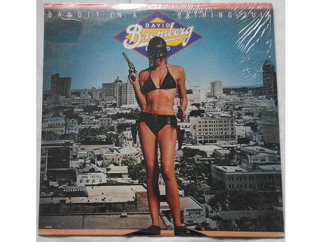 DAVID BROMBERG BAND - Bandit in a bathing suit