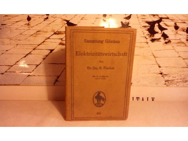 Elektrizitätswirtschaft  von Dr.R.Fischer 1928