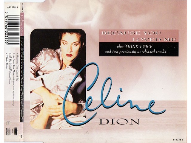 Celine Dion - Because You Loved Me