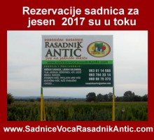 Ugovoranje sadnica voća za 2017