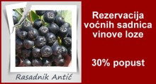 Sadnice voća... super cena 30% popust