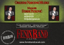 Djordje petkovic i fenix band cacak