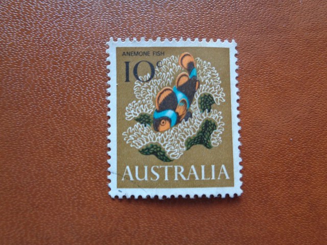 australia 100