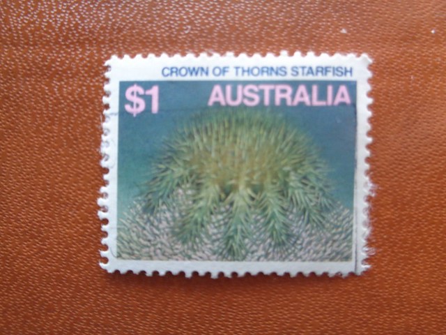 australia 86