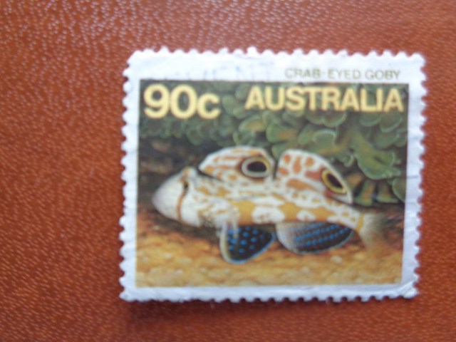 australia 82