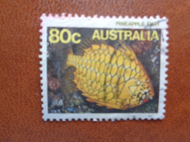 australia 81