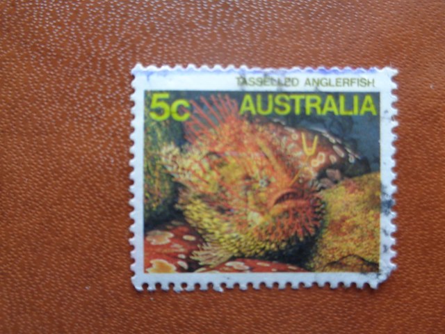 australia 79