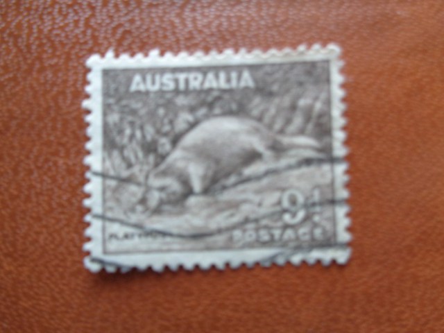 australia 64