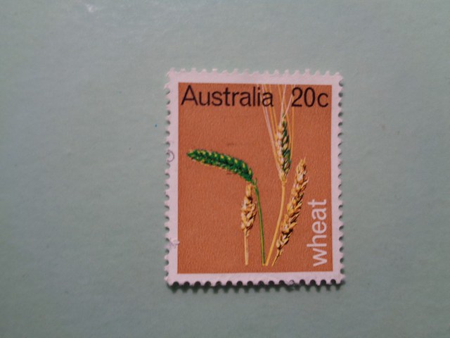 australia 154