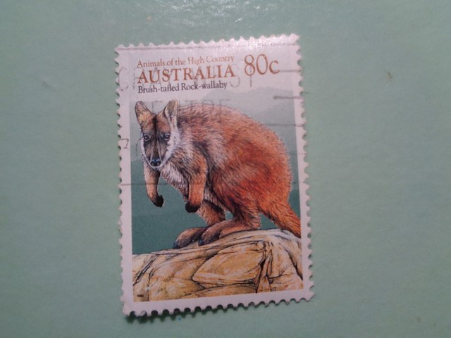 australia 131