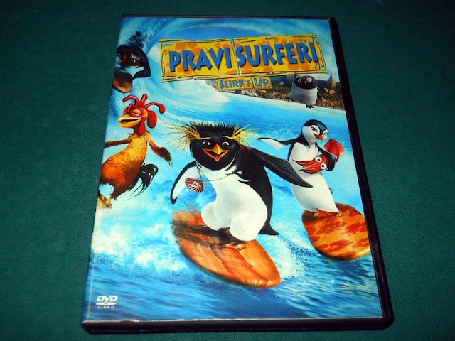 SURF`S UP - Pravi surferi