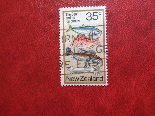 novi zeland 27 ribe