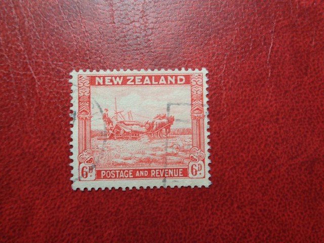 novi zeland 17