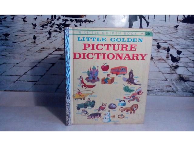 Picture dictionary 1959