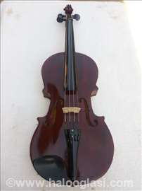 Damska viola