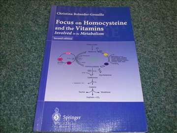 Focus on Homocysteine and the Vitamins