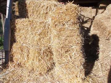 Tvrdobalirana pšenična slama